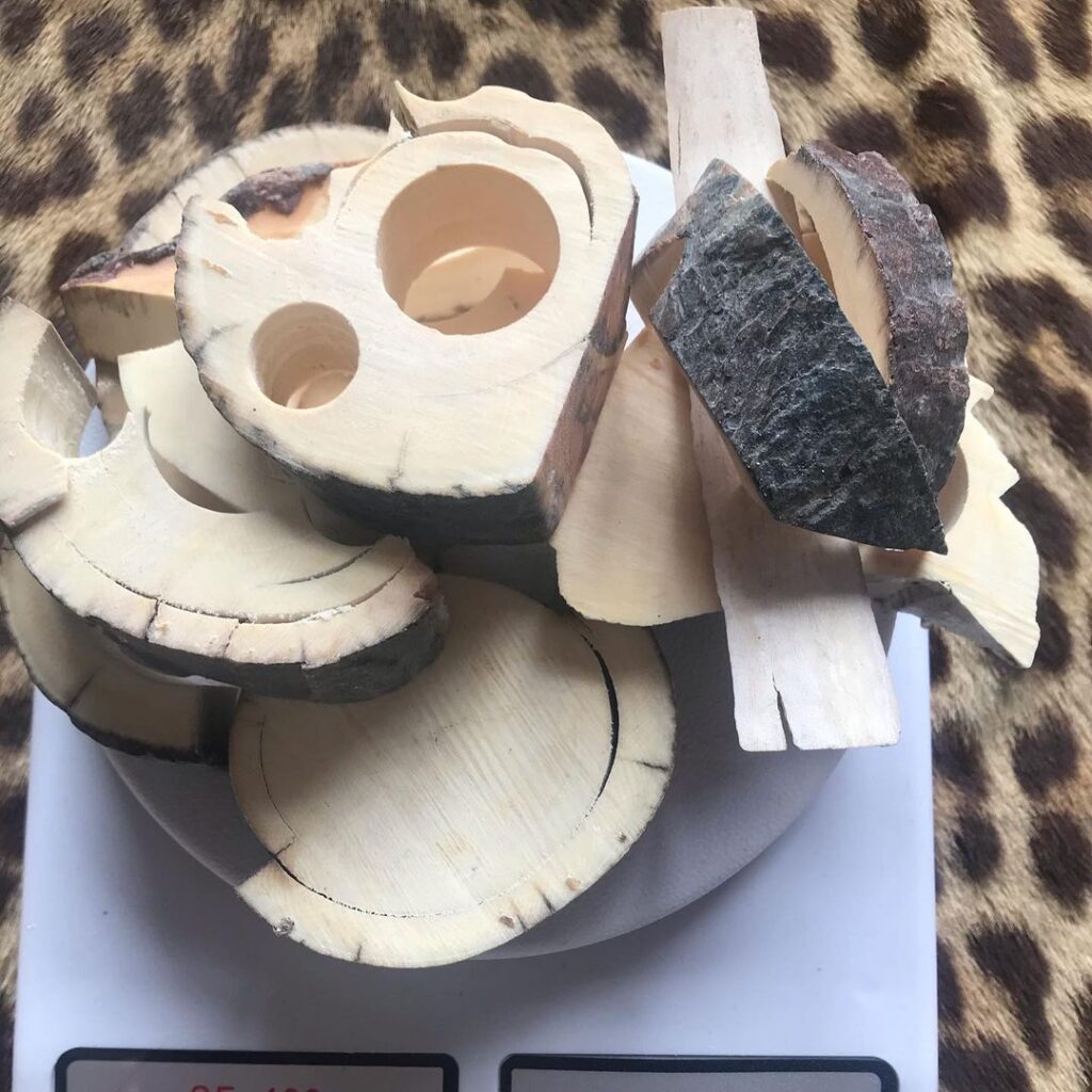 Mammoth ivory materials for making jewelry - Quality Mammoth Ivory