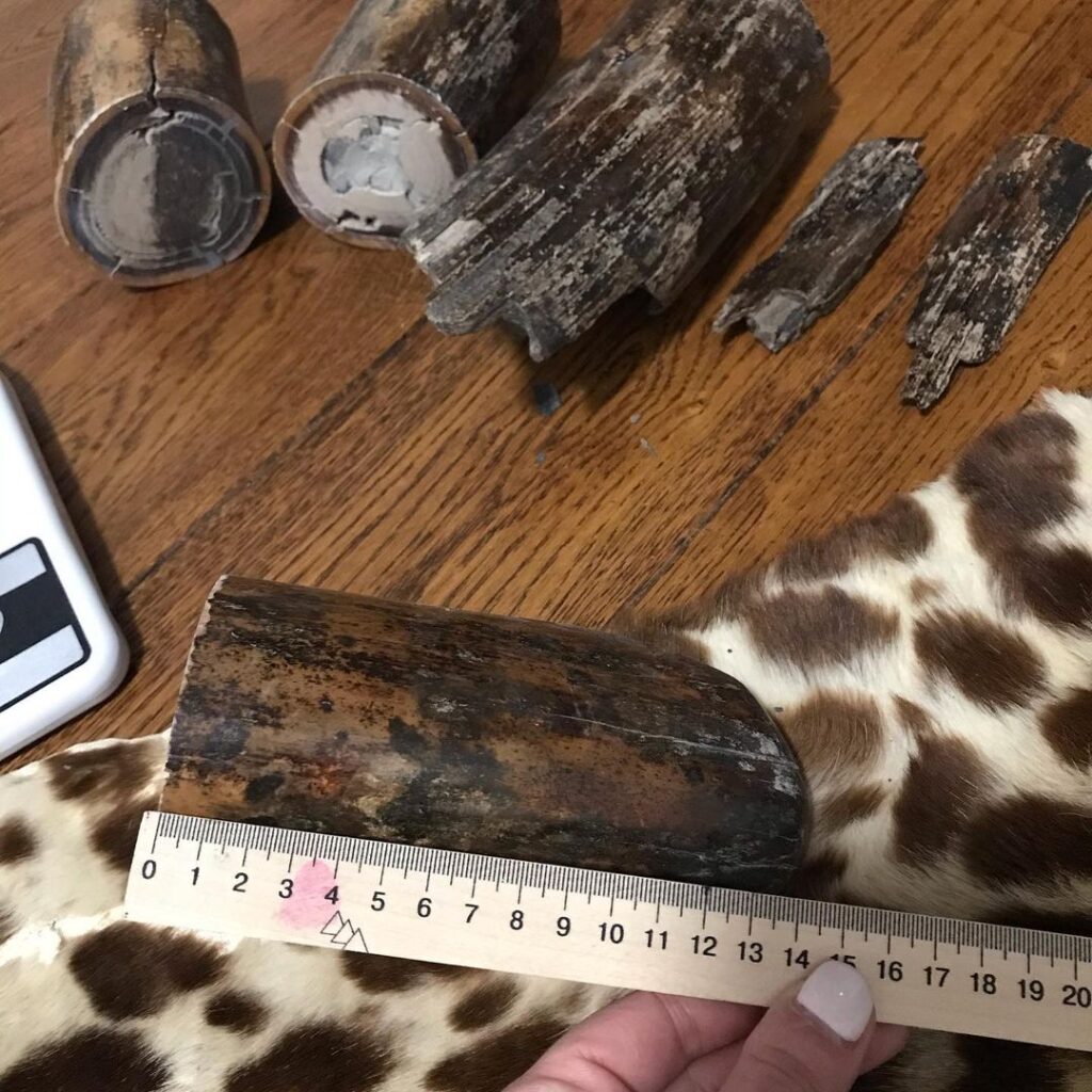 Mammoth ivory tusk piece - Quality Mammoth Ivory